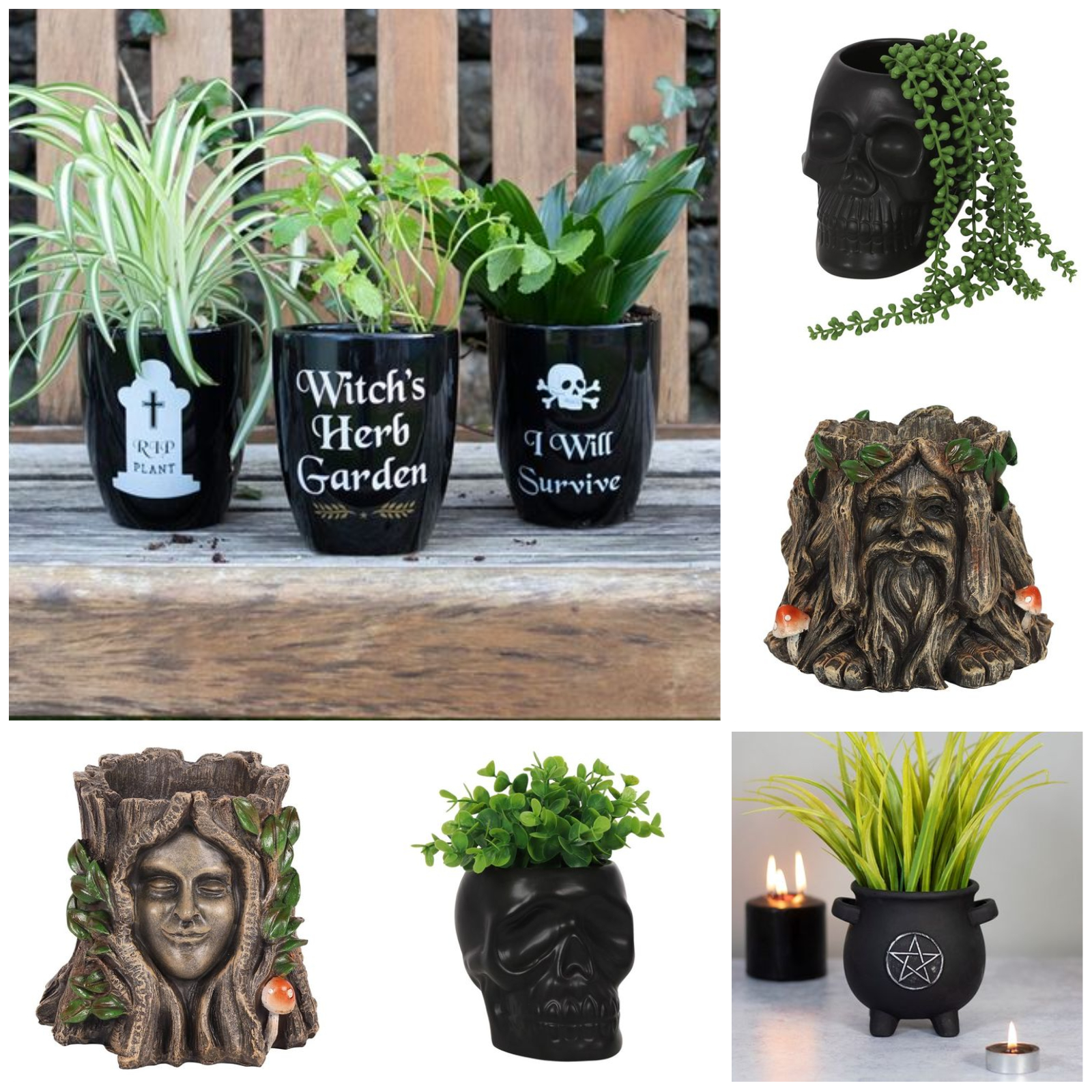Black Ceramic Gothic Plant Pots | Hilda and June